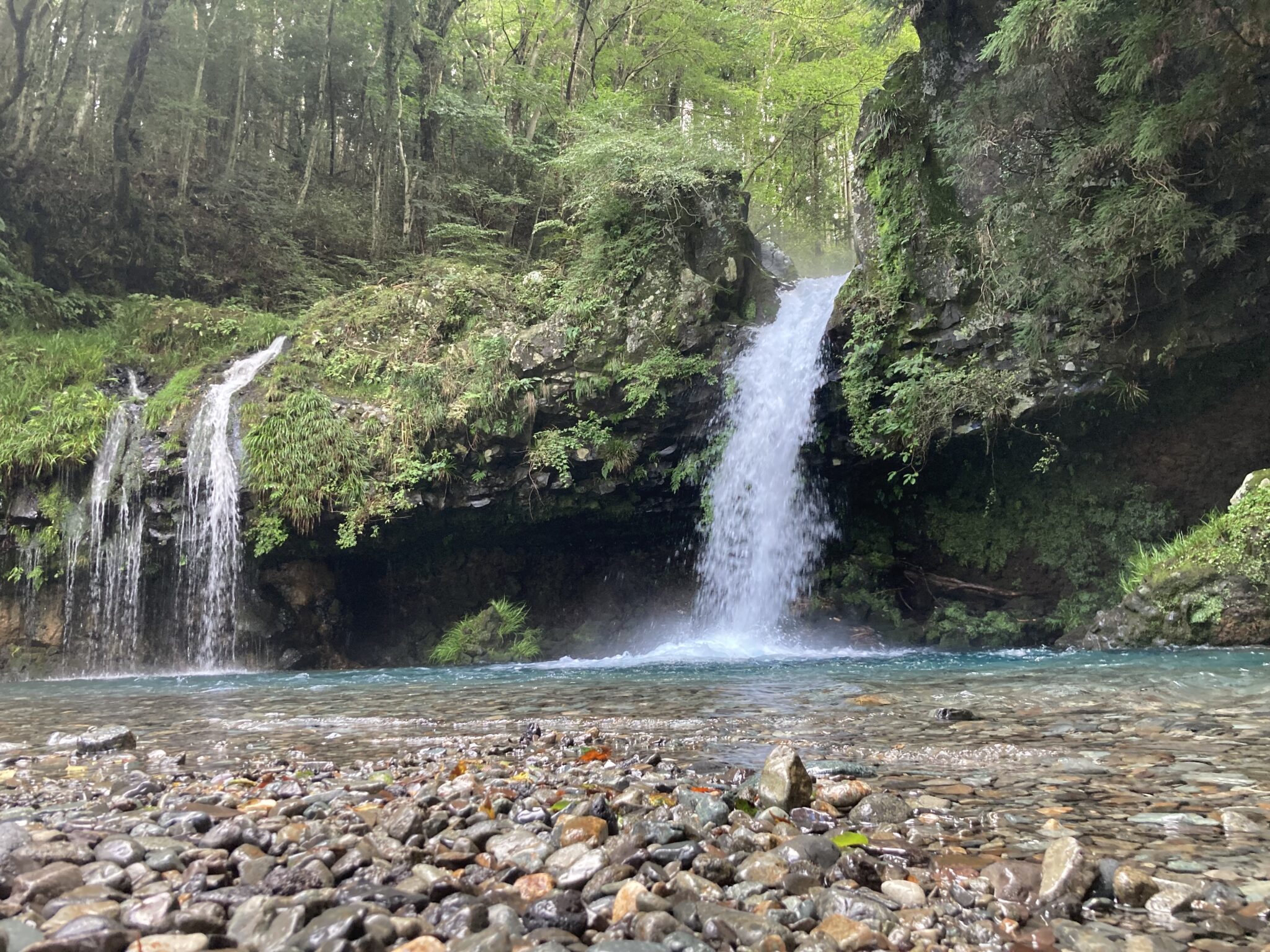 頻度を現す英語 always・usually・often・sometimes・rarely・seldom・never | 富士市の学習塾「STUDY BASE」