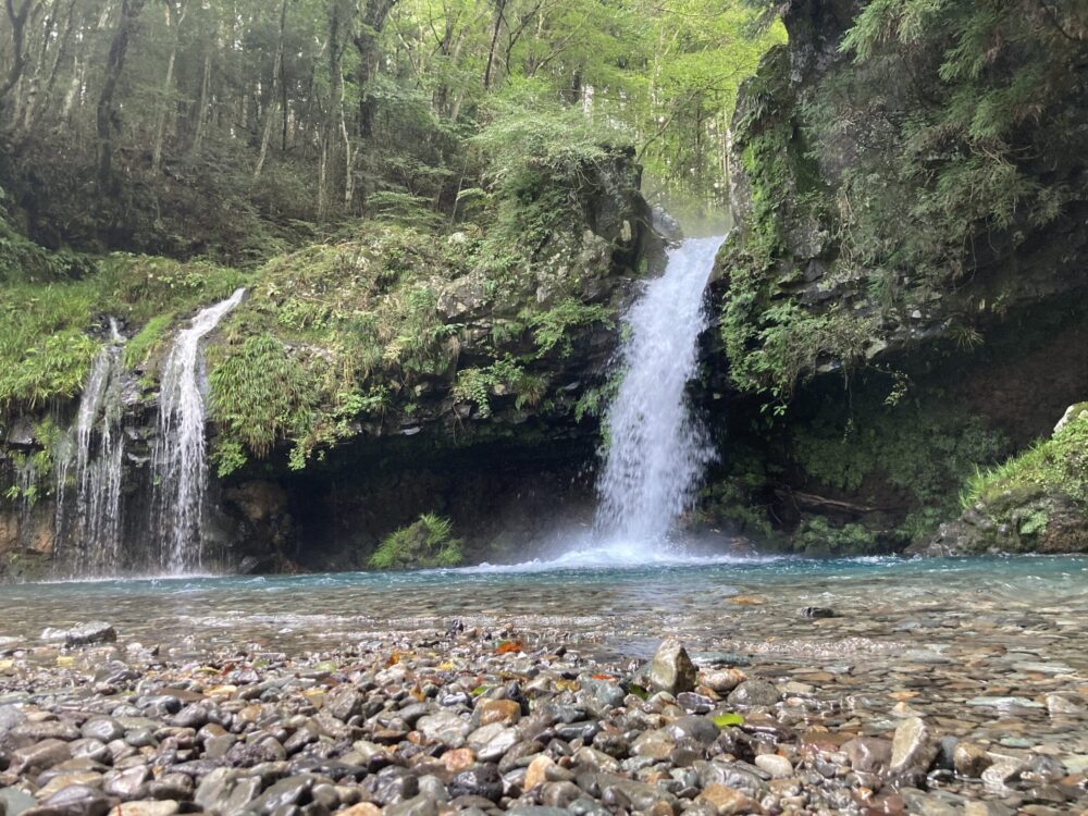 頻度を現す英語 always・usually・often・sometimes・rarely・seldom・never | 富士市の学習塾 ...